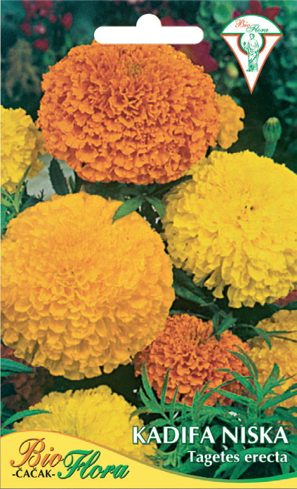 Kadifa niska - BioFlora